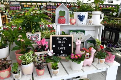 Inver Grove Heights Convention & Visitors Bureau